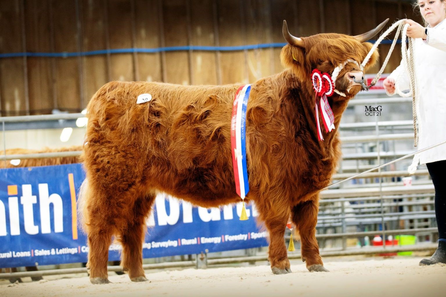 Home - The Turriff Show