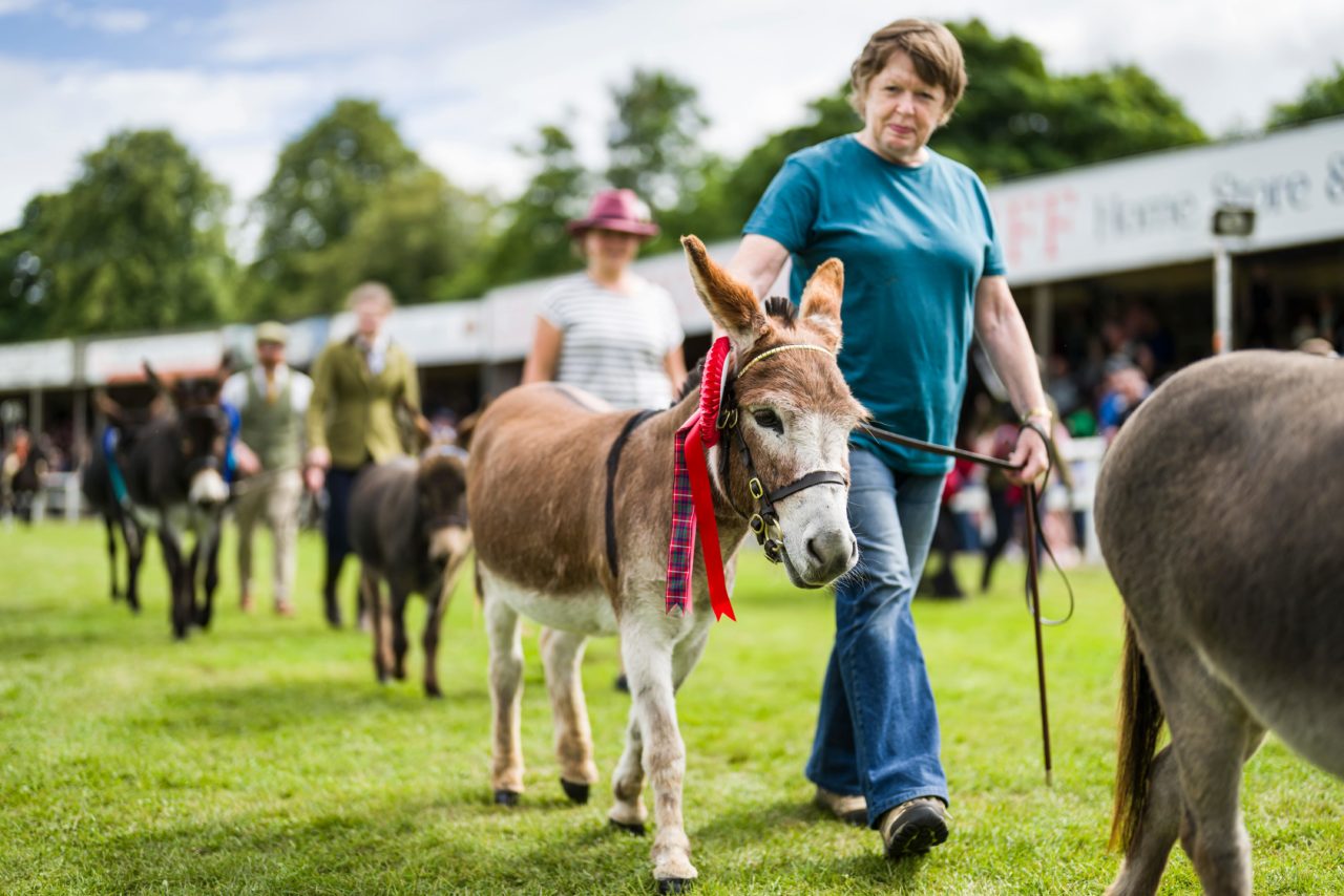 Exhibitors - The Turriff Show